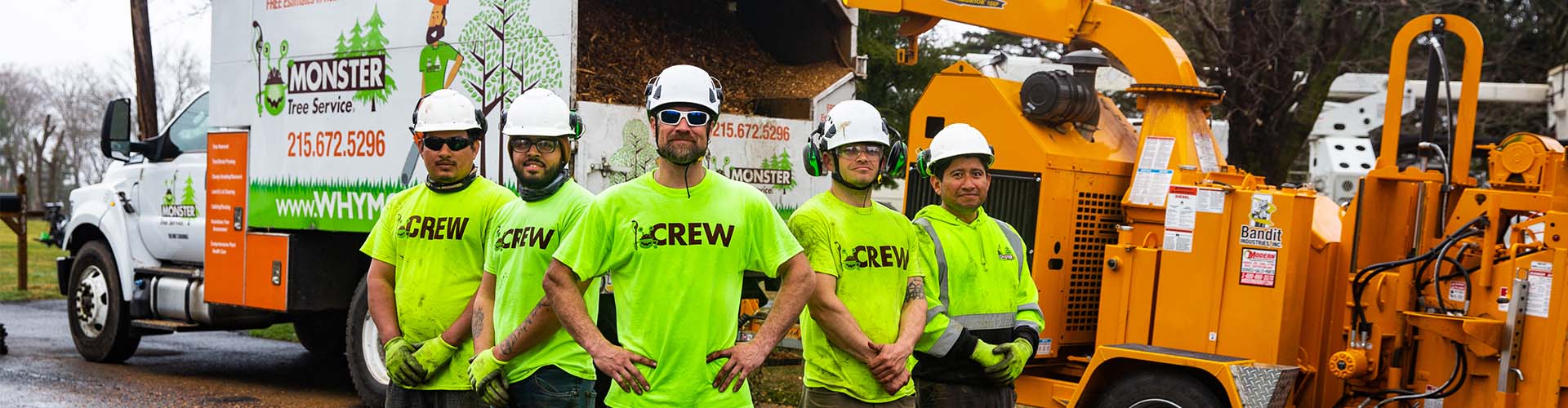About Monster Tree Service | Professional Arborists