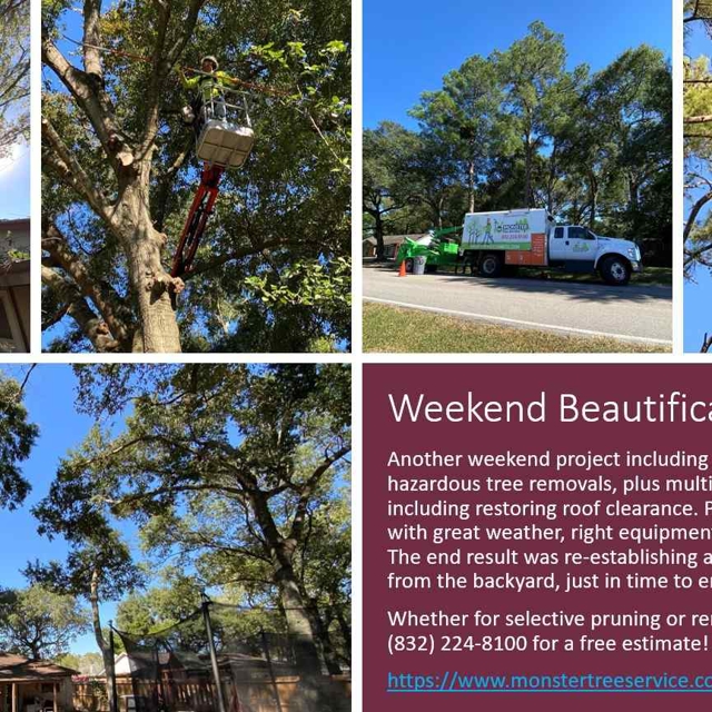 Instagram Gallery | Monster Tree Service
