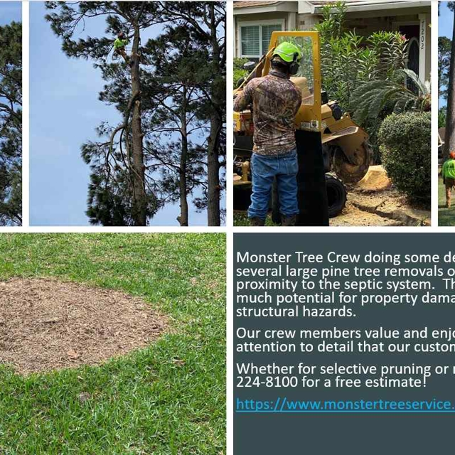 Photo Gallery | Monster Tree Service of Northwest Houston
