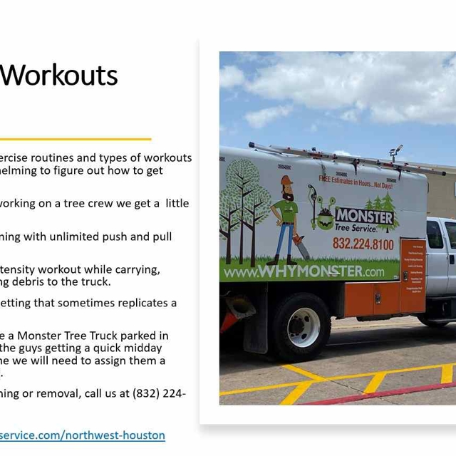 Photo Gallery | Monster Tree Service of Northwest Houston
