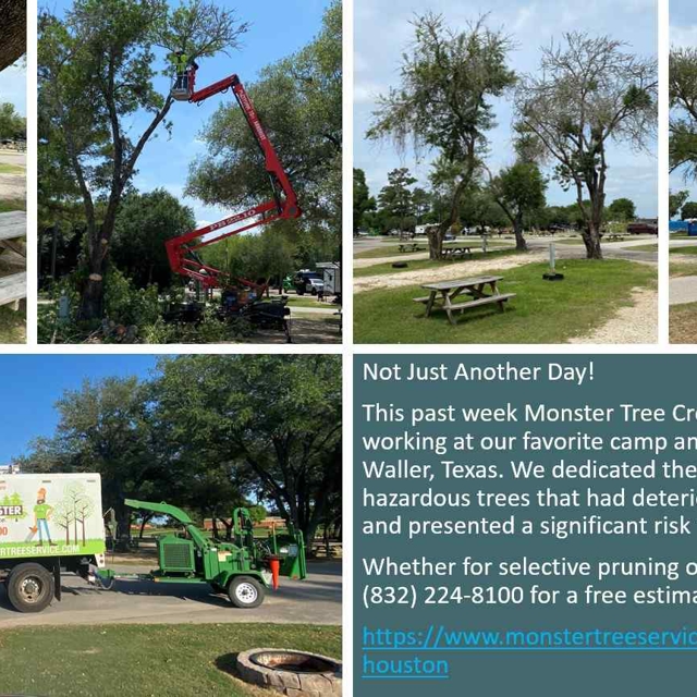 Instagram Gallery | Monster Tree Service