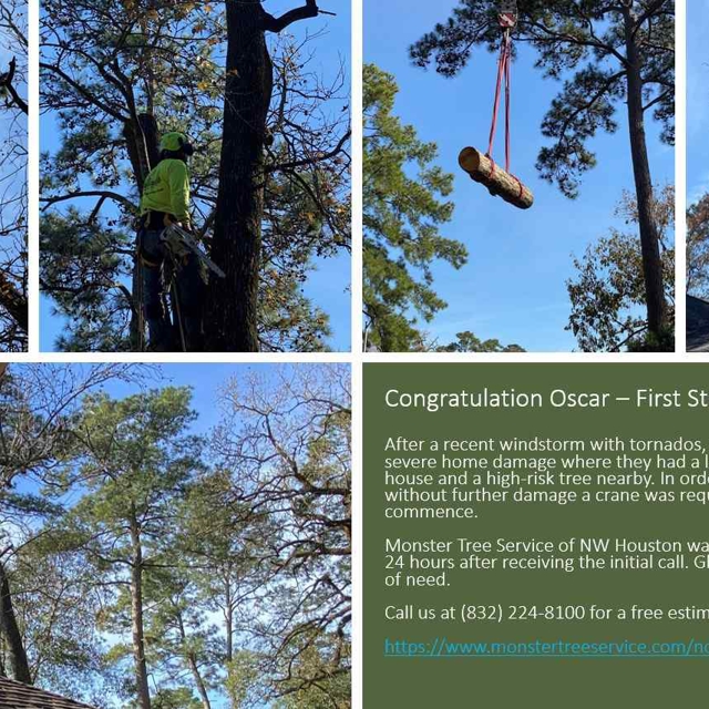 Instagram Gallery | Monster Tree Service