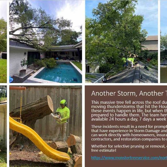 Photo Gallery | Monster Tree Service of Northwest Houston