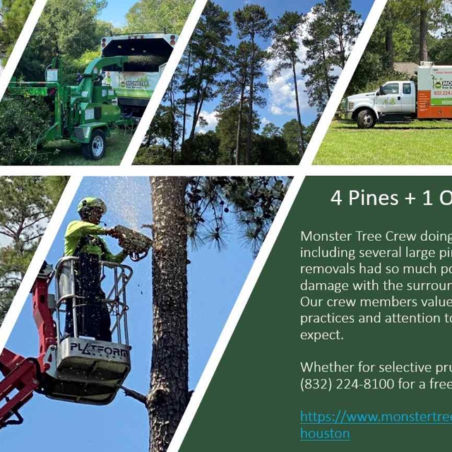 Photo Gallery | Monster Tree Service of Northwest Houston