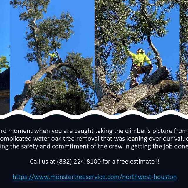 Photo Gallery | Monster Tree Service of Northwest Houston