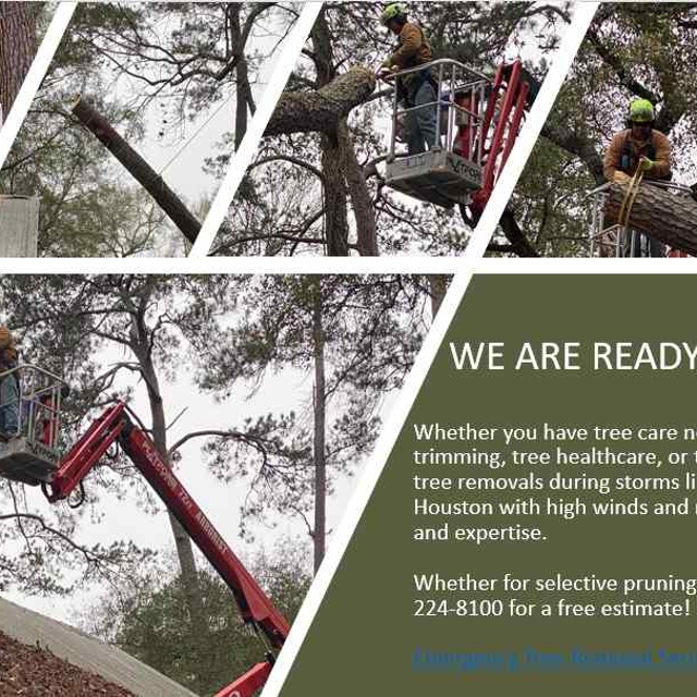 Instagram Gallery | Monster Tree Service