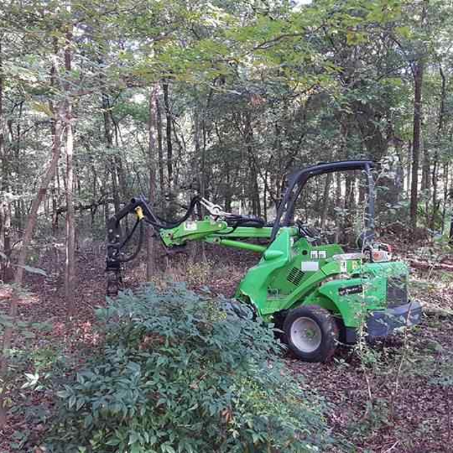 Photo Gallery | Monster Tree Service of North Dallas