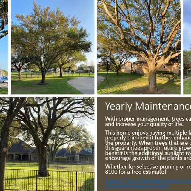 Instagram Gallery | Monster Tree Service