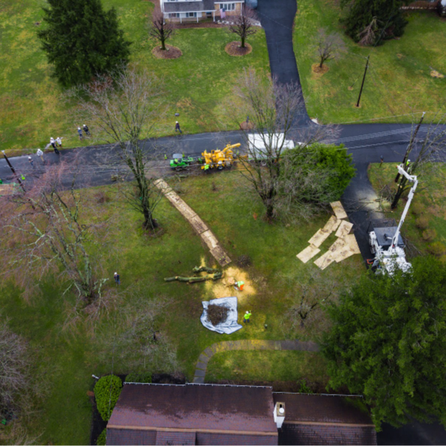Photo Gallery | Monster Tree Service of North Chesapeake Bay