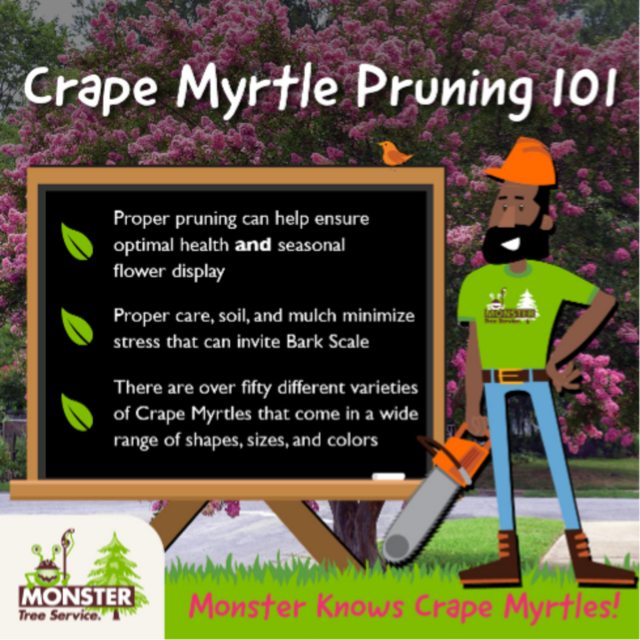 Instagram Gallery | Monster Tree Service