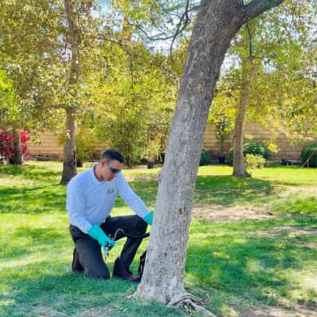 Instagram Gallery | Monster Tree Service