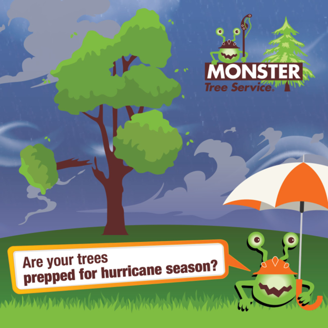 Photo Gallery | Monster Tree Service of North Chesapeake Bay