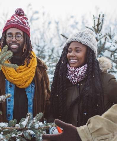 Tree Service Company - Local Arborists | Monster Tree Service