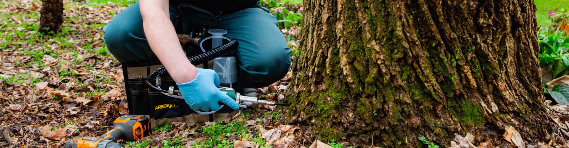 Trunk Injections | Professional Tree Service & Care