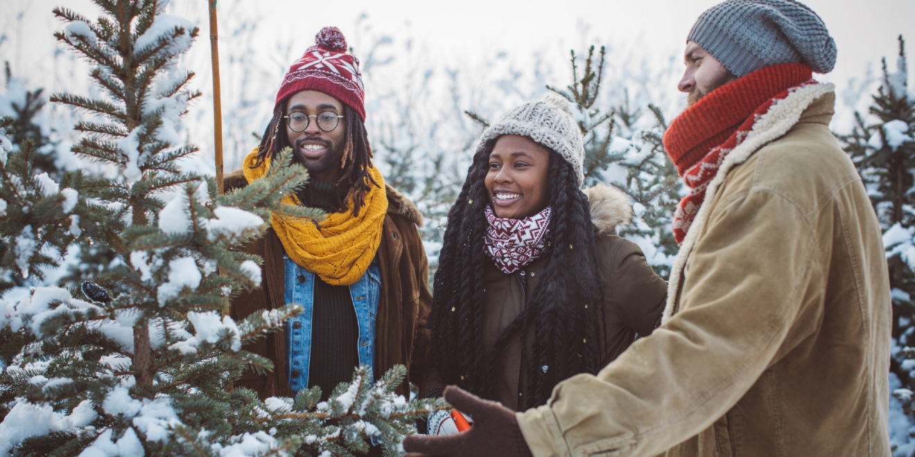 How to Find the Perfect Christmas Tree