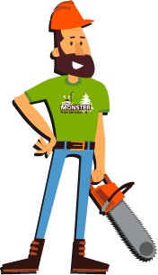 Professional Tree-Removal Service | Monster Tree Service