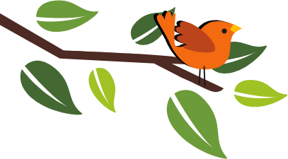 Tree Service Company - Local Arborists | Monster Tree Service
