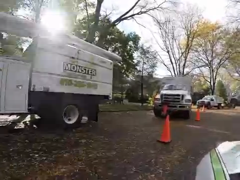 Monster Tree Service Driveby - Monster Tree Service