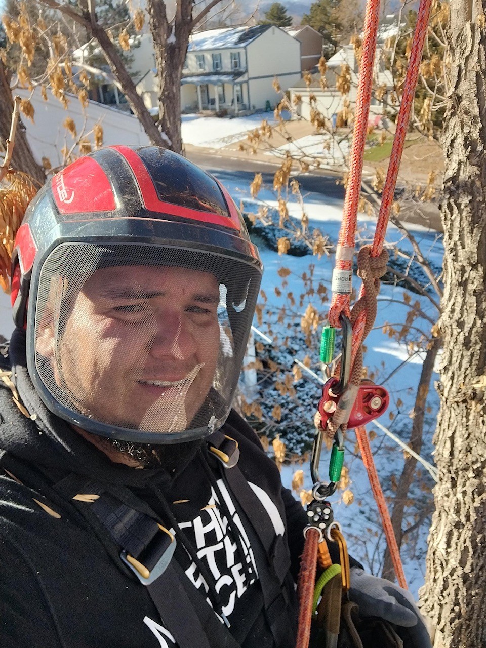 Meet the Southwest Denver Team | Monster Tree Service